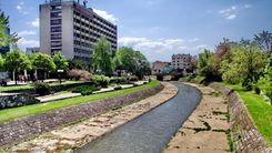 Leskovac, the birth place of pljeskavica