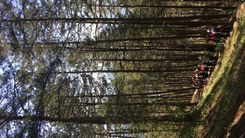 Hiking around Montenegro: Pestingrad - the peak above the city of Kotor