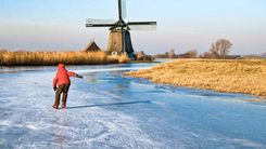 50 Interesting and Fun Facts about the Netherlands