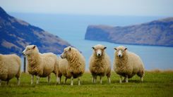 The Complete Guide to the English Coast: England by the sea