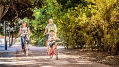 Valencia, Spain: A Guide to the City's Best Bike Routes