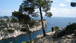 France's Calanques National Park: The Ultimate Guide
