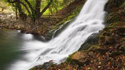 Exploring Gradac River, a scenic adventure by the unpolluted river