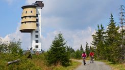 Sumava National Park - the Bohemian forest