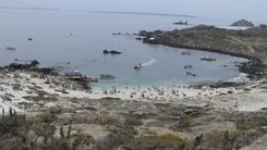 Punta de Choros, Chile's wildlife paradise