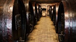 Rajacke Pimnice: A small stone village with a big winemaking tradition
