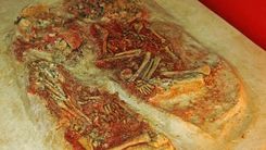 The Ice Age babies from Krems