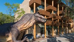 A less-known but amazing animal park: Sóstó ZOO