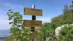 Hiking around Montenegro: Pestingrad - the peak above the city of Kotor