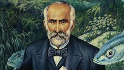 What a mountain, a tree and a scientist have in common